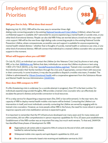 988 Implementation and Future Priorities